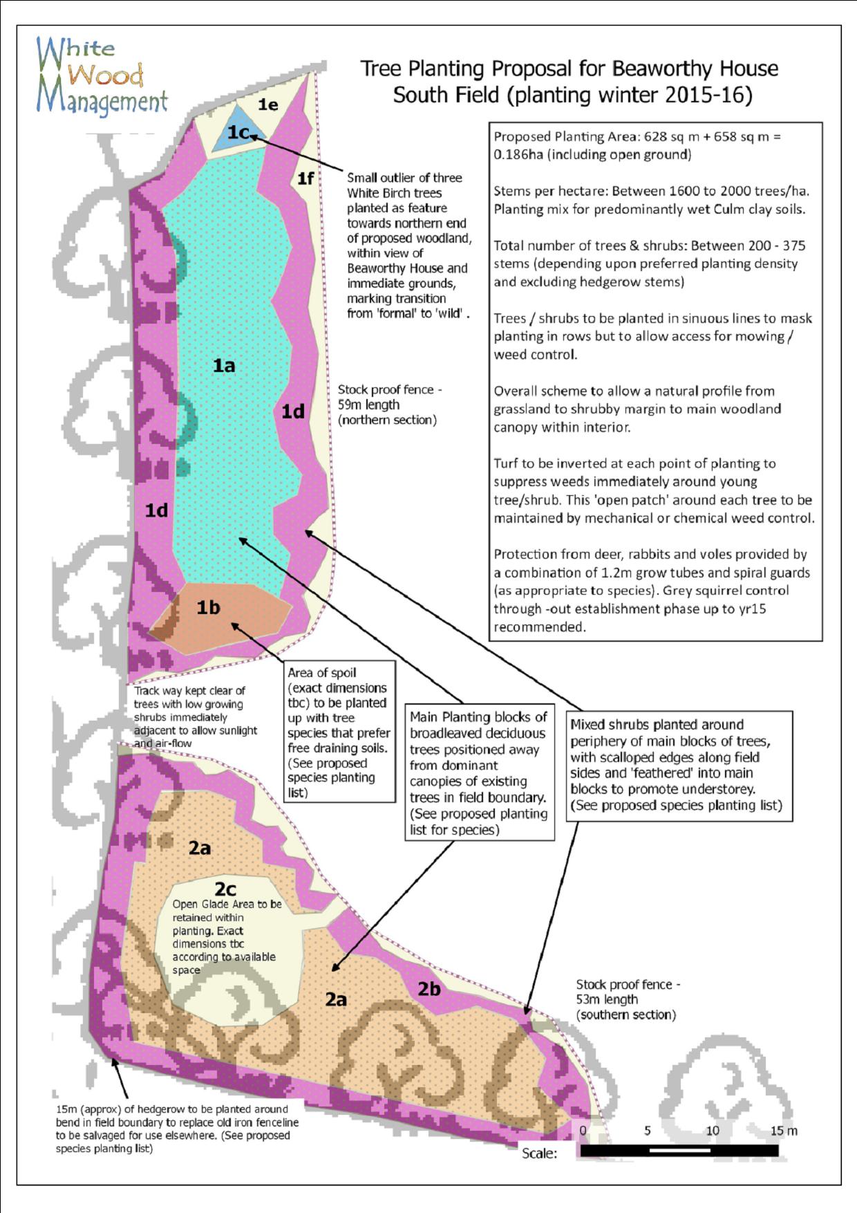 Tree planting, woodland creation & design – White Wood Management