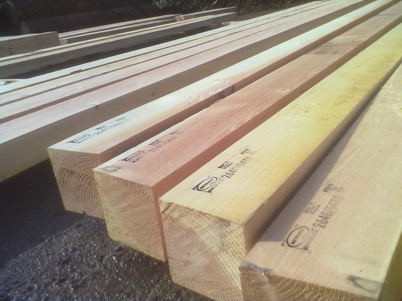 Visual stress grading & CE mark for structural timber – White Wood ...